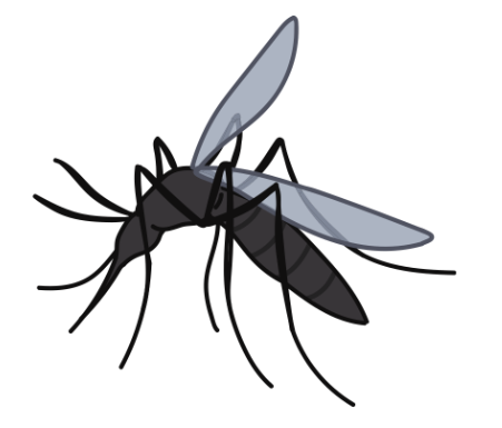Yellow Fever Vaccine Swindon: Book your Vaccine with us